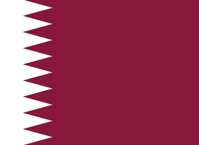 Qatar - Human Rights Committee - Death Penalty - January 2022 - The ...