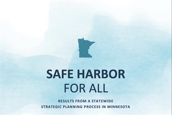Safe Harbor for All: Strategic Planning Process Report - The Advocates ...