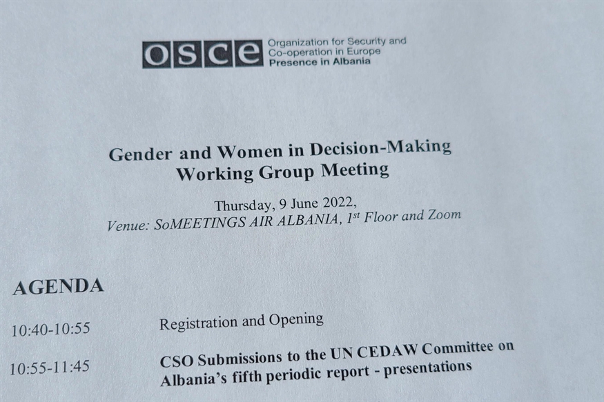 Remarks to Gender and Women in Decision-Making Working Group Meeting ...